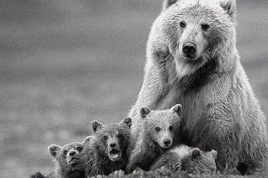 Caja Gris | SERVICIOS | eProtect